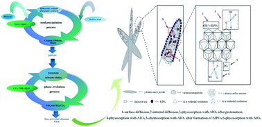 Enhanced phosphate removal with fine activated alumina synthesized from ...