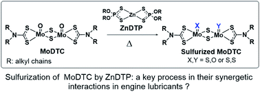 Molecular evidence for sulfurization of molybdenum dithiocarbamates ...