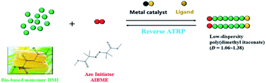 Reverse atom transfer radical polymerization of dimethyl itaconate ...