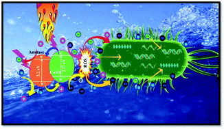 Combinatorial effects of non-thermal plasma oxidation processes and ...