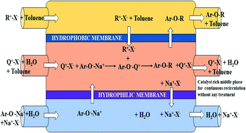 Design of a novel dual function membrane microreactor for liquid–liquid ...