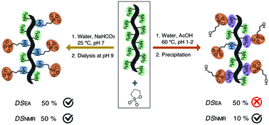 Efficient N-sulfopropylation of chitosan with 1,3-propane sultone in ...