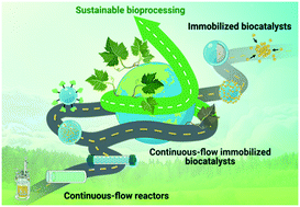 Development of a continuous-flow system with immobilized biocatalysts ...