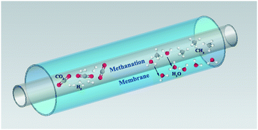 A CFD study on the performance of CO2 methanation in a water-permeable ...