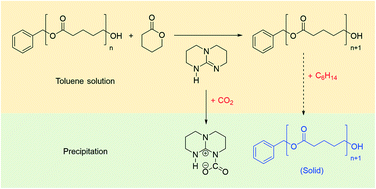 Green and sustainable synthesis of poly(δ-valerolactone) with a TBD ...