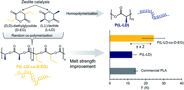 Boosting PLA melt strength by controlling the chirality of co-monomer ...