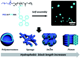 Fluorescent polymer cubosomes and hexosomes with aggregation-induced ...