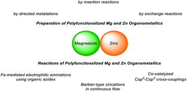 Preparation and reactions of polyfunctional magnesium and zinc ...