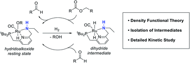 The key role of the latent N–H group in Milstein's catalyst for ester ...