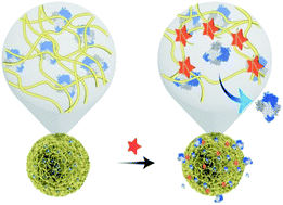 Fast-responding functional DNA superstructures for stimuli-triggered ...
