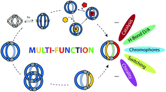 Increasing structural and functional complexity in self-assembled ...