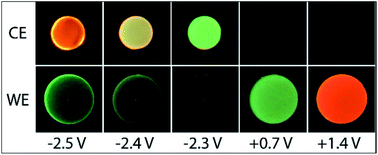 Emission from the working and counter electrodes under co-reactant ...