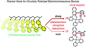 Chiral polymer hosts for circularly polarized electroluminescence ...