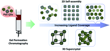 Simple cubic self-assembly of PbS quantum dots by finely controlled ligand removal through gel ...