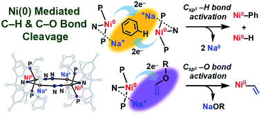 Ni(0)-promoted activation of Csp2–H and Csp2–O bonds - Chemical Science ...