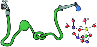 The exchange of the fast substrate water in the S2 state of photosystem ...