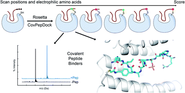 Covalent flexible peptide docking in Rosetta - Chemical Science (RSC ...