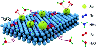 Plasmon-enabled N2 photofixation on partially reduced Ti3C2 MXene ...