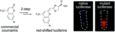 Coumarin luciferins and mutant luciferases for robust multi-component ...