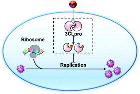Allosteric inhibition of SARS-CoV-2 3CL protease by colloidal bismuth ...