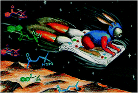 A direct-to-biology high-throughput chemistry approach to reactive ...