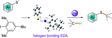 A photoexcited halogen-bonded EDA complex of the thiophenolate anion ...