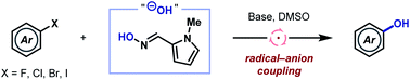 Radical–anion coupling through reagent design: hydroxylation of aryl ...