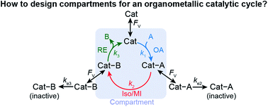 A generalized kinetic model for compartmentalization of organometallic ...