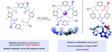 Chiral, sequence-definable foldamer-derived macrocycles - Chemical ...