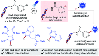 Photochemical C–H arylation of heteroarenes for DNA-encoded library ...