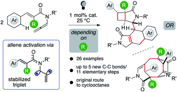 Dimerizing cascades of enallenamides reveal the visible-light-promoted ...