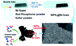 In situ formation of highly exposed NiPS3 nanosheets on nickel foam as ...