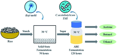 Techno-economic analysis of a two-step fermentation process for bio ...