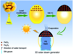 A cocoon-based 3D solar steam generator for high-performance saline ...