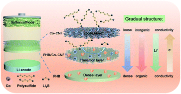 Constructing multi-functional composite separator of PVDF-HFP/h-BN supported Co-CNF membrane for ...