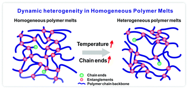 Dynamic heterogeneity in homogeneous polymer melts - Soft Matter (RSC ...