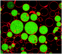 Formation of giant polymer vesicles by simple double emulsification ...