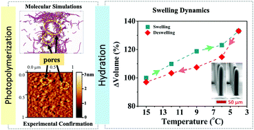 Impact of PEGDA photopolymerization in micro-stereolithography on 3D ...