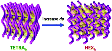 Superhelical DNA liquid crystals from dendrimer-induced DNA compaction ...