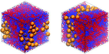 Nanorheology of active–passive polymer mixtures differentiates between ...