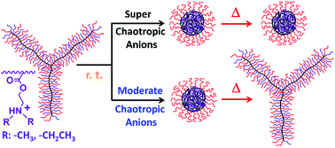 Effects of temperature on chaotropic anion-induced shape transitions of ...