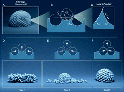 How particle–particle and liquid–particle interactions govern the fate of evaporating liquid ...
