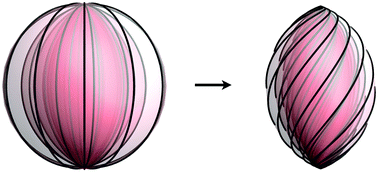 Twisted loxodromes in spindle-shaped polymer nematics - Soft Matter ...