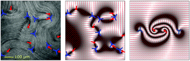 Properties of twisted topological defects in 2D nematic liquid crystals - Soft Matter (RSC ...