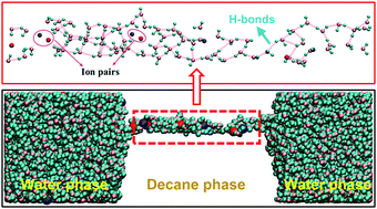 A hydrogen bond-modulated soft nanoscale water channel for ion ...