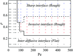 Morphologies and dynamics of the interfaces between active and passive ...