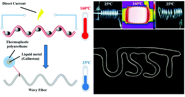 A multifunctional hollow TPU fiber filled with liquid metal exhibiting ...