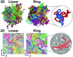 Intrinsic structure and dynamics of monolayer ring polymer melts - Soft ...