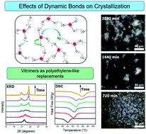 Impact of dynamic covalent chemistry and precise linker length on ...