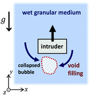 Microbial Brazil nut effect - Soft Matter (RSC Publishing)